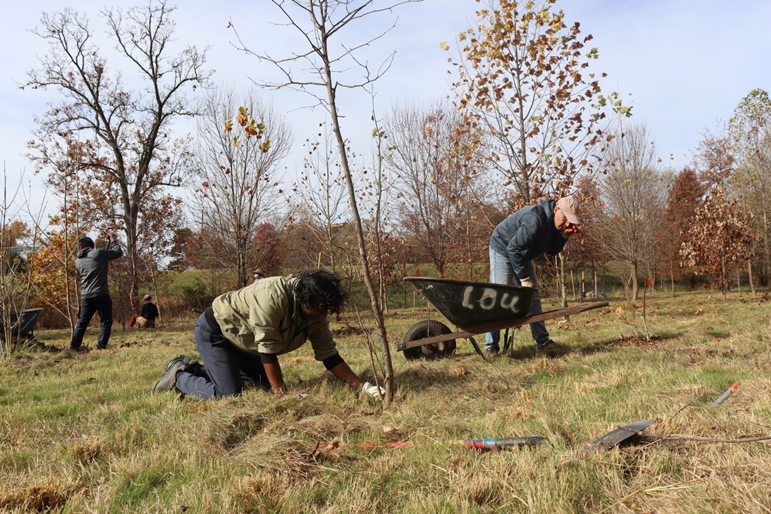 Spotlighting 5 initiatives to safeguard the region's environment during ...